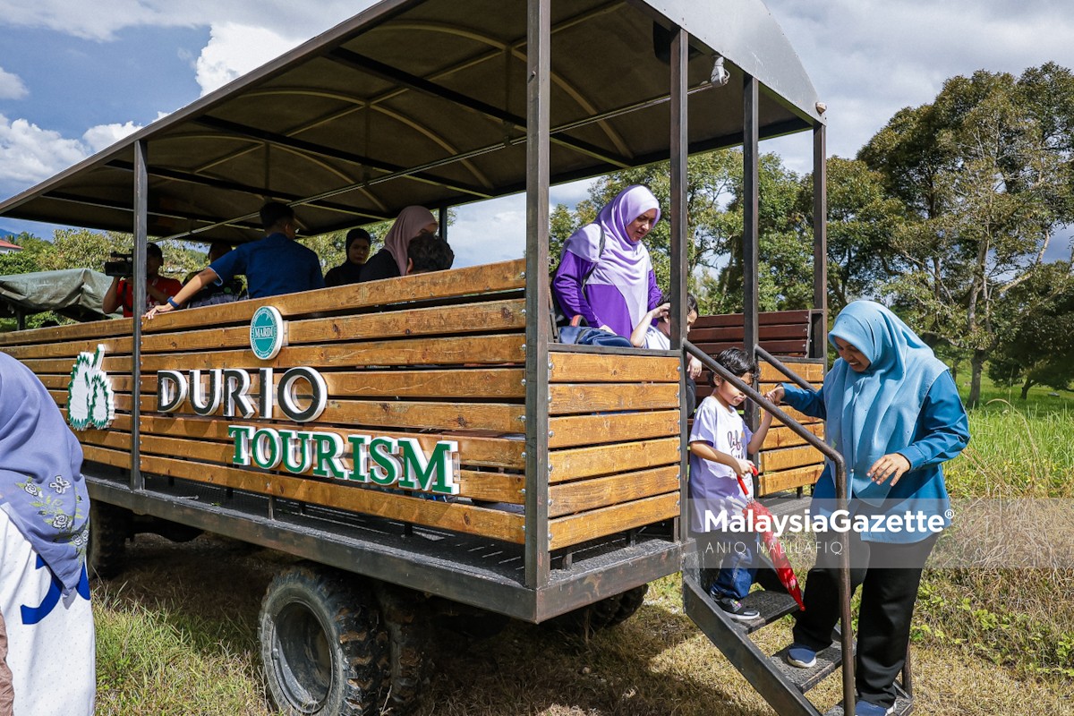 Makan durian sepuasnya di Duriotourism@MARDI Kuala Kangsar - MG Perak