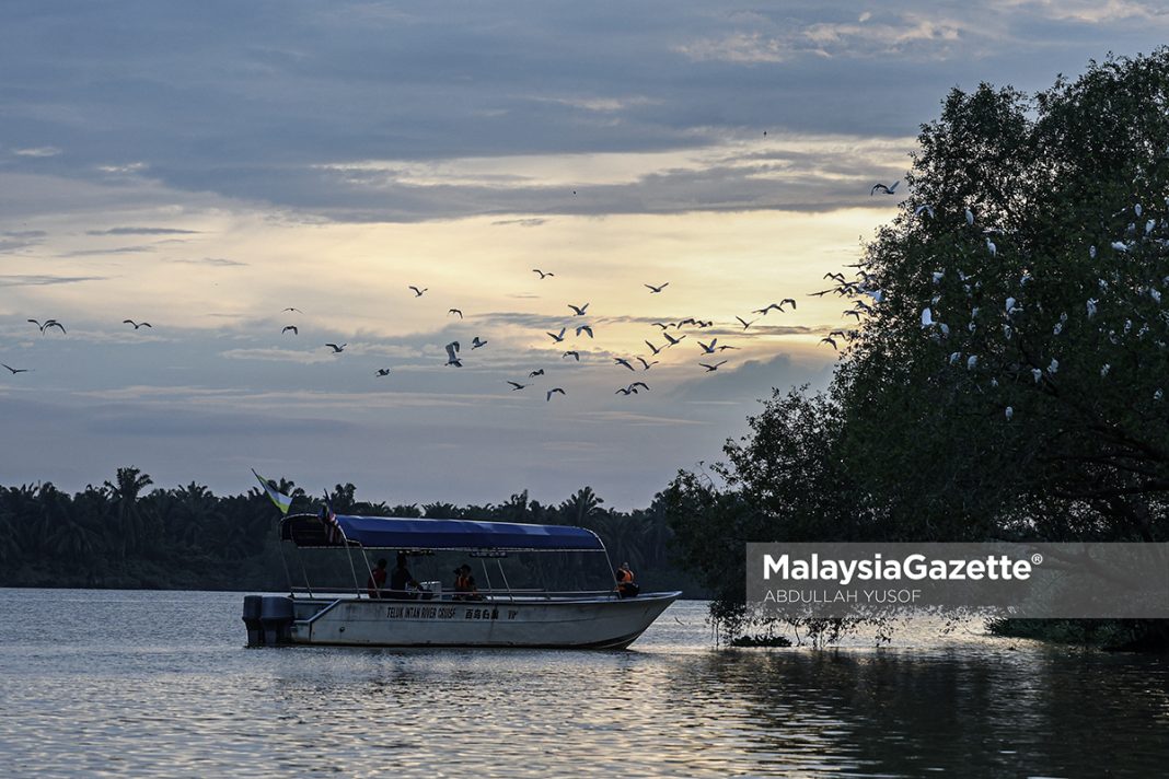 RCTI bawa pelancong selusur Sungai Perak ke Pulau Bangau - MG Perak