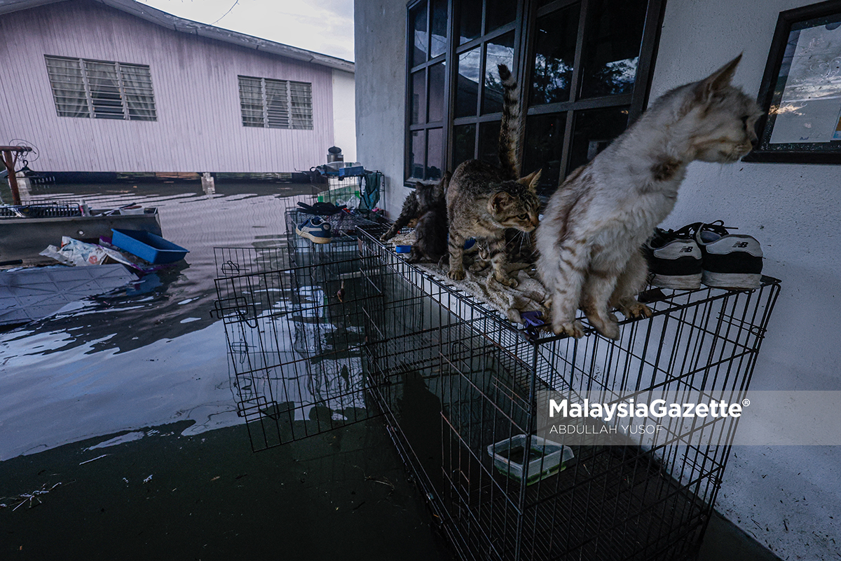 Banjir kilat tak berkesudahan di Sungai Rokam - MG Perak