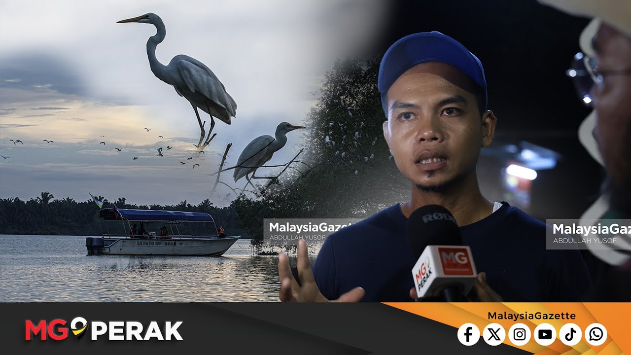MGPerak: RCTI Bawa Pelancong Selusur Sungai Perak Ke Pulau Bangau - MG ...