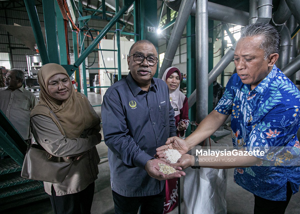 Perak usaha bantu lonjak kapasiti pengeluaran beras negeri - MG Perak